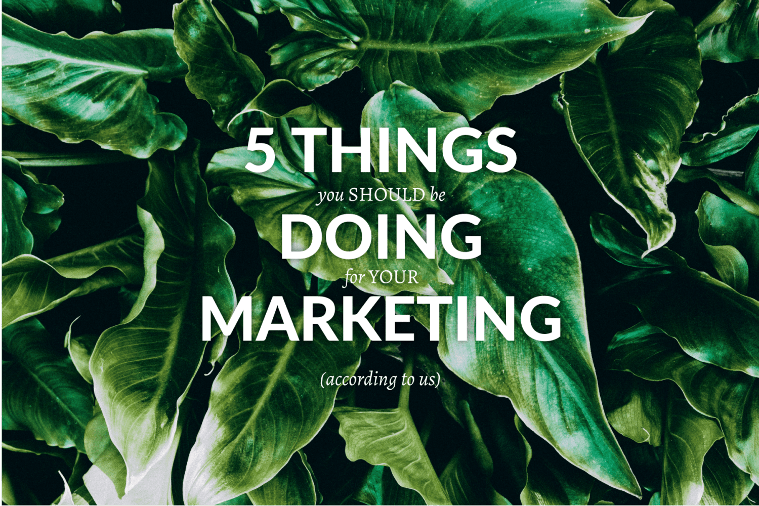 5 Things You Should Be Doing for Your Marketing : nettl.com